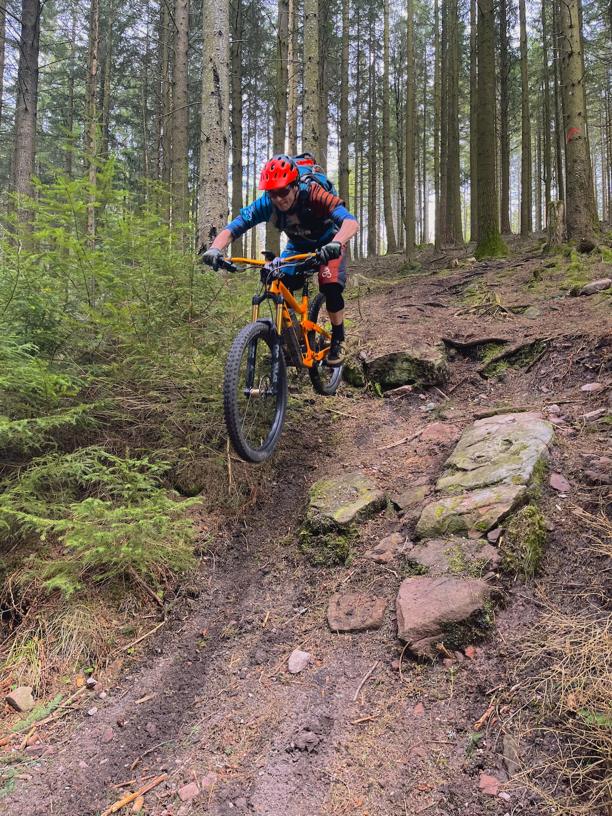 Schwarzwald-Bike-Gipfel Baiersbronn • beitune.de